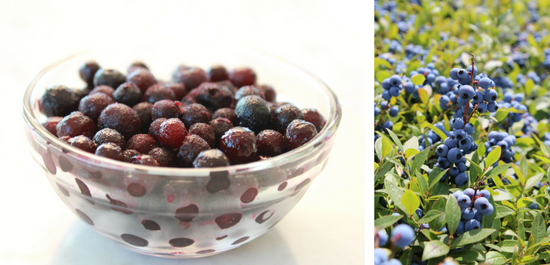 Purple Foods & Recipes Your Heart Will Love | Wild Blueberries